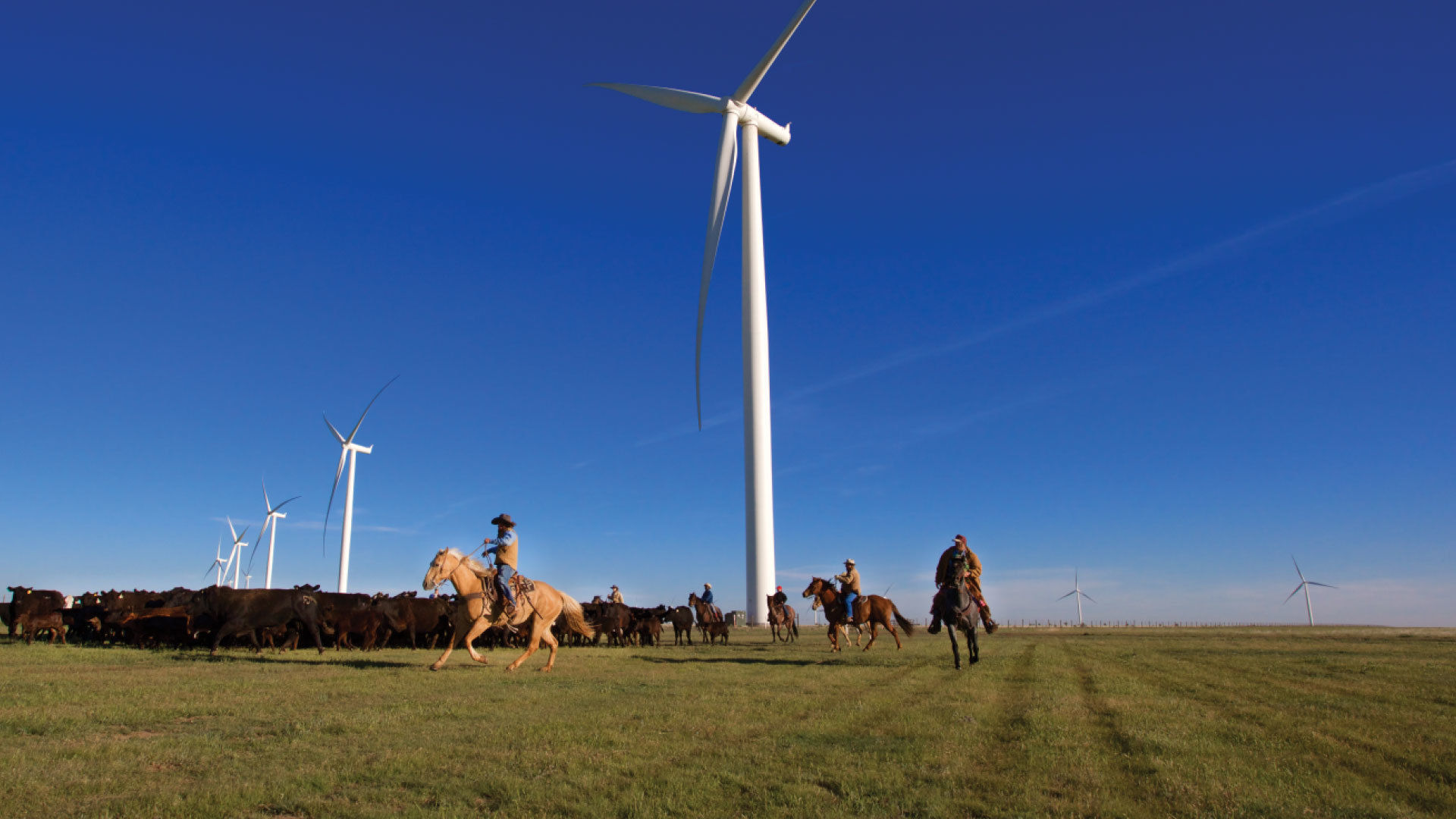 Visit Amarillo - Official visitors' guide